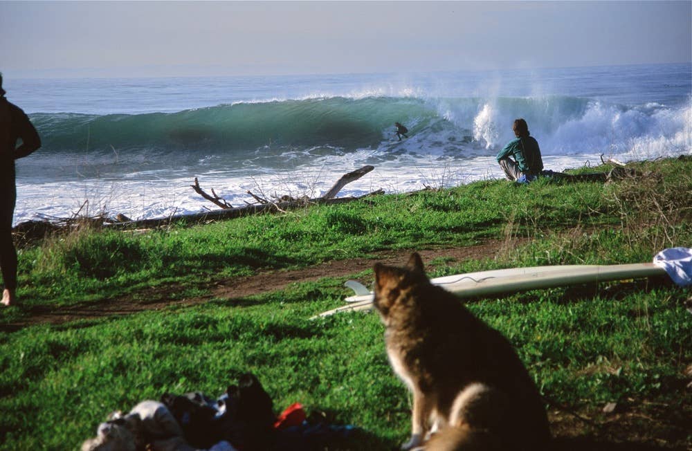 California Love: Part III - Surfer