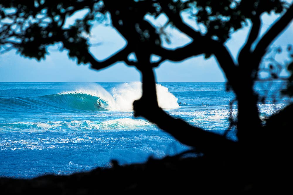 Josh Kerr, Off the Wall | SURFER Magazine - Surfer