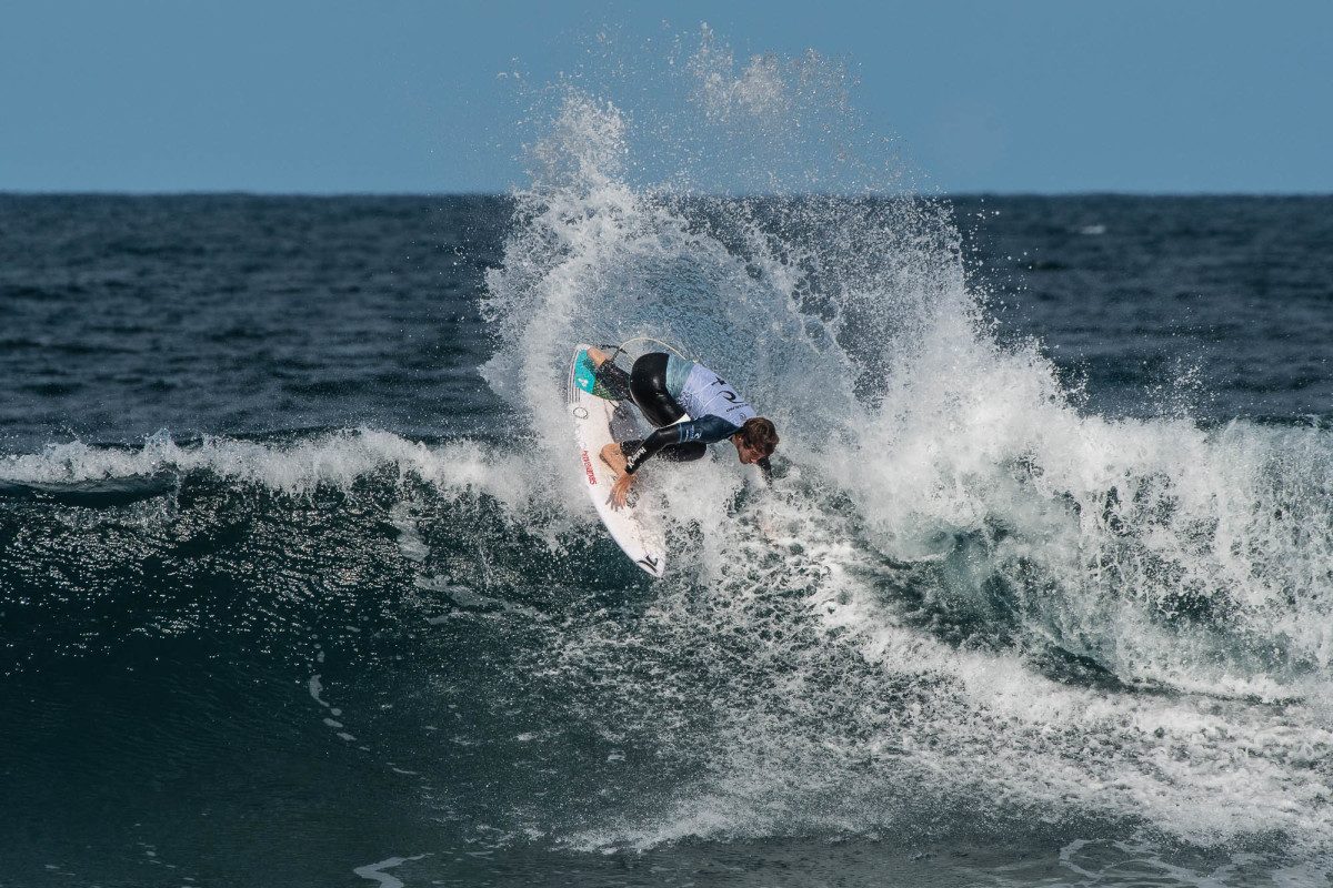 What do Seaweed Sharks, Tom Curren Hijinks and Winkipop Have in Common ...