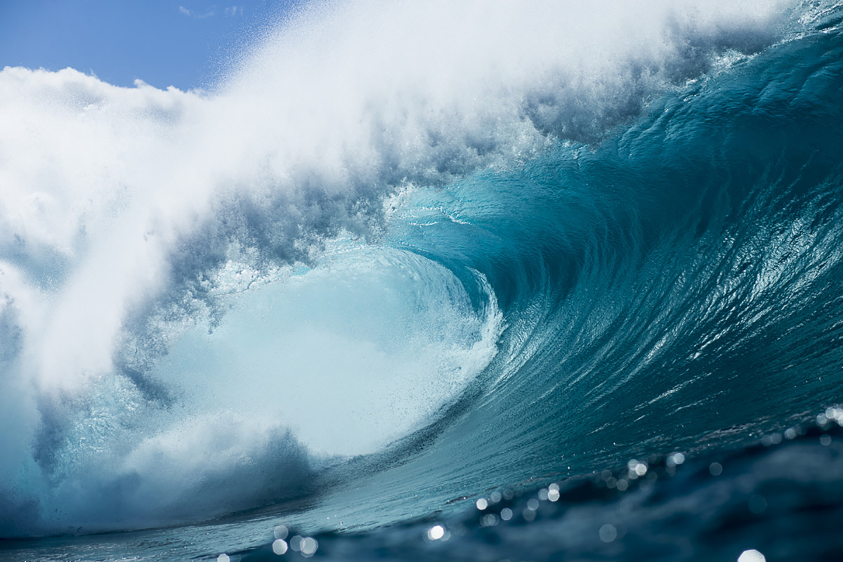 Watch The 2017 SURFER Awards Livestream - Surfer