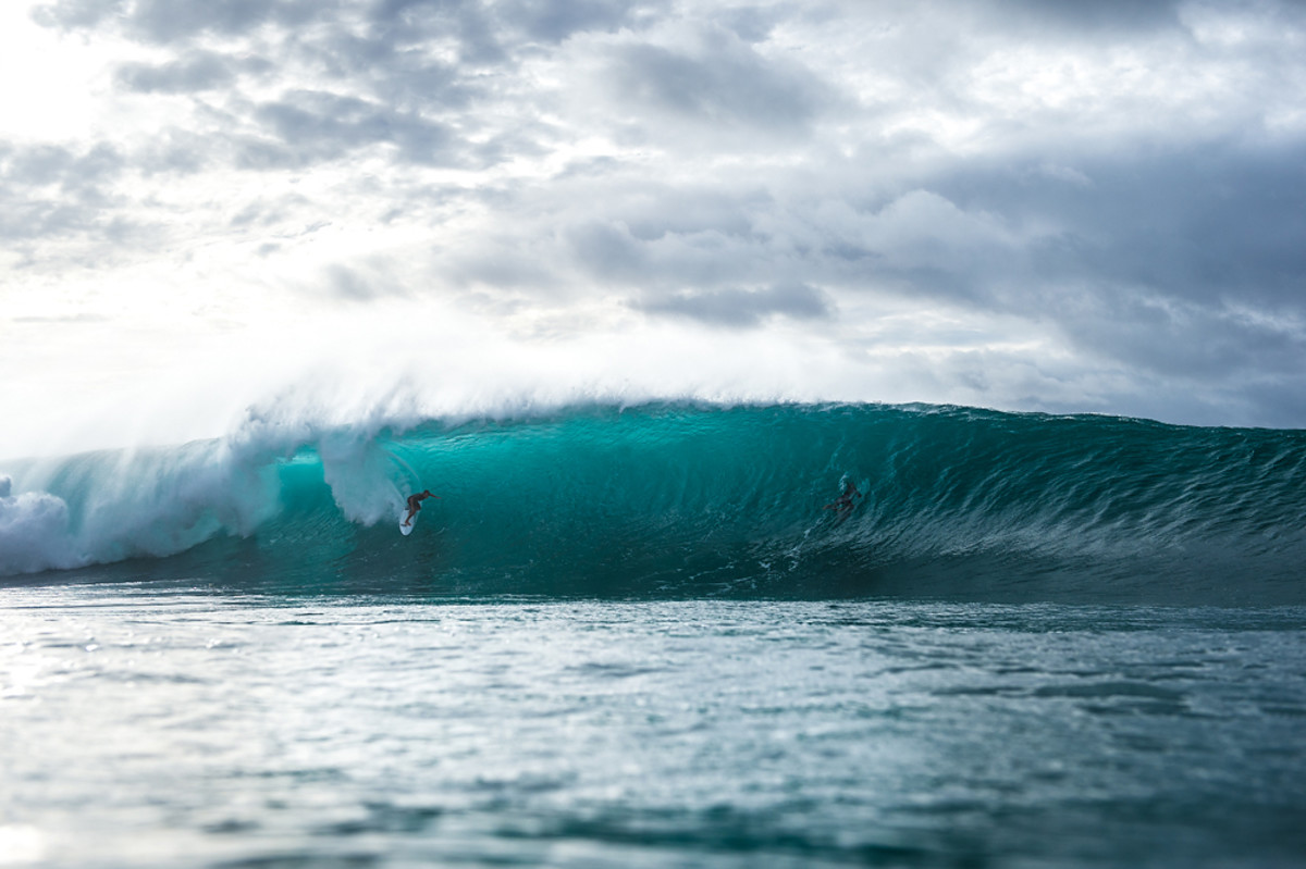 All We Are Is Space Dust: The Life & Times Of The Rothman Family - Surfer