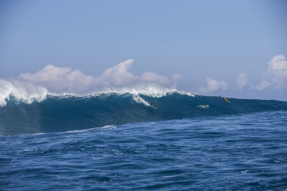 All We Are Is Space Dust: The Life & Times Of The Rothman Family - Surfer