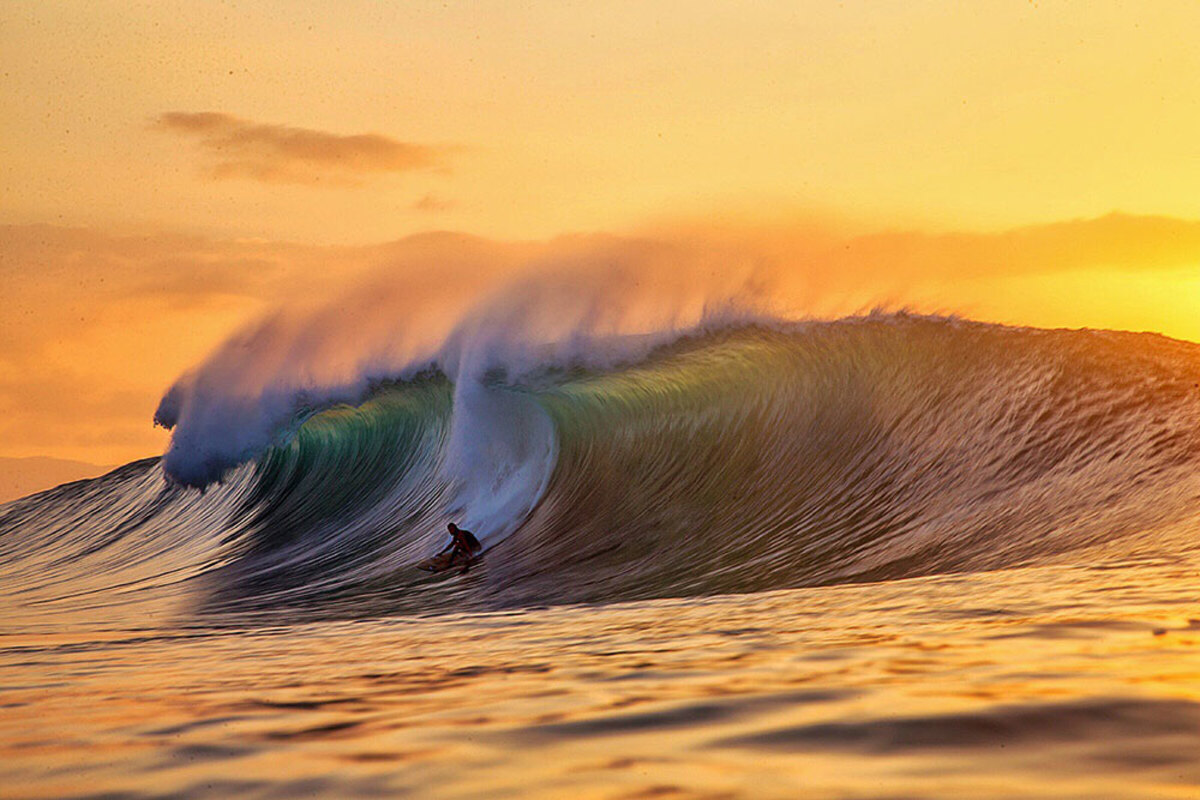 Zak Noyle | Torrey Meister, Pipeline - Surfer