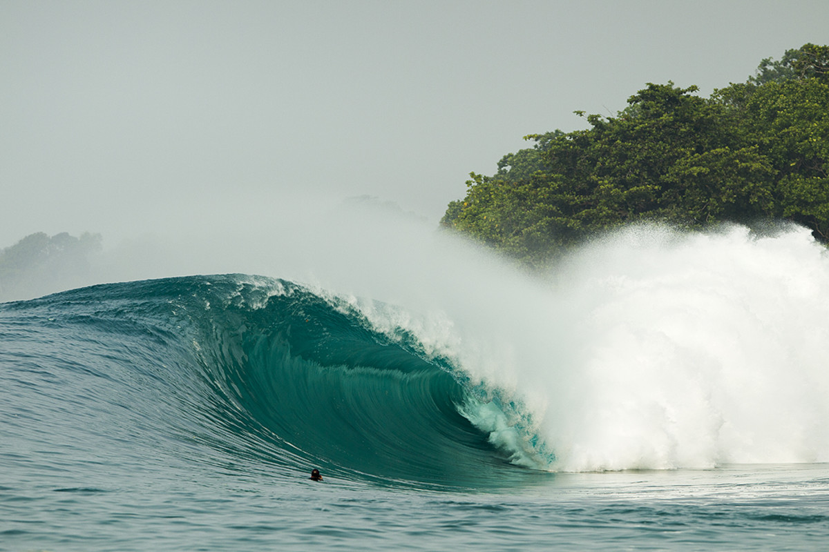 Jason Childs | Java - Surfer