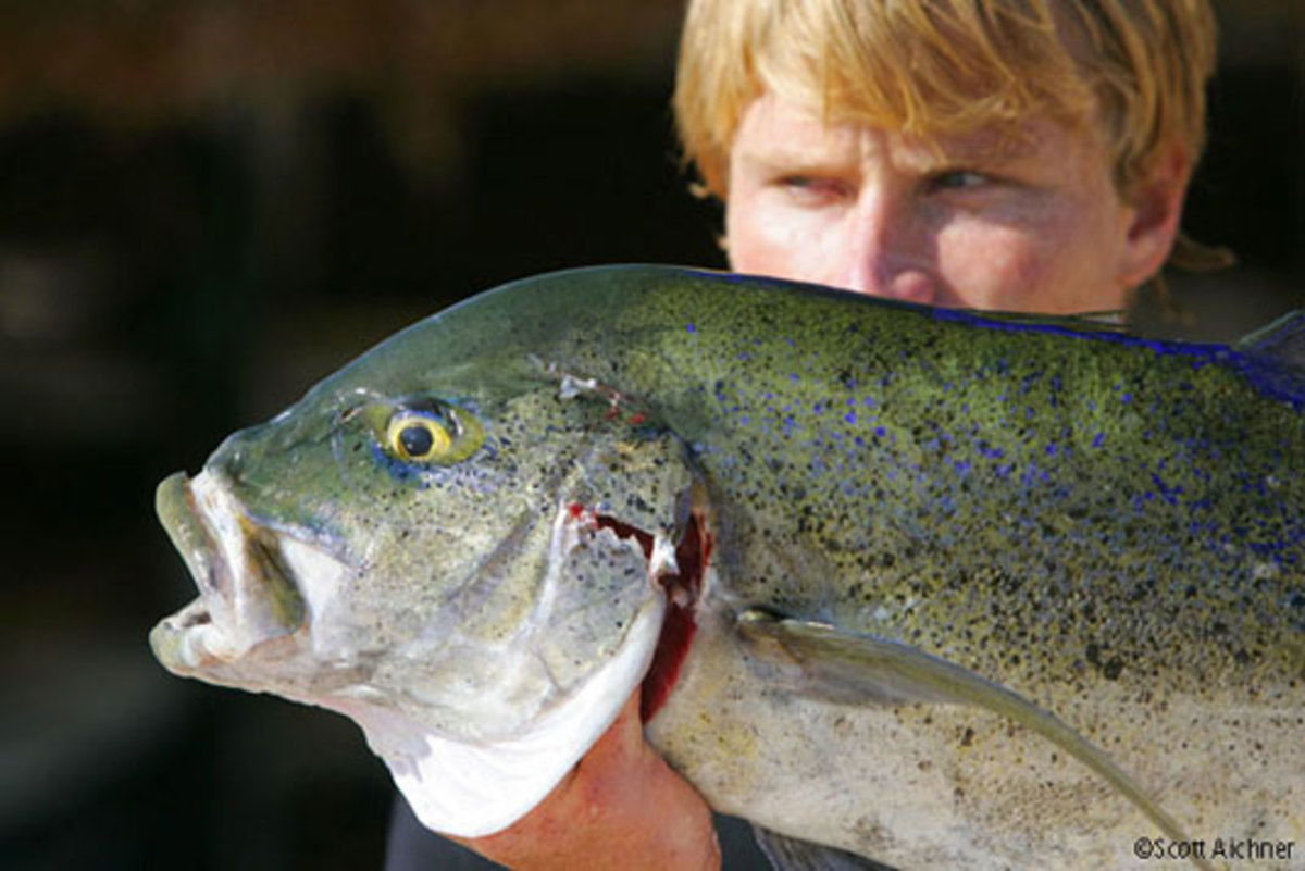 NIXON HIGH TIDE HOLD 'EM: Let The Games Begin! - Surfer