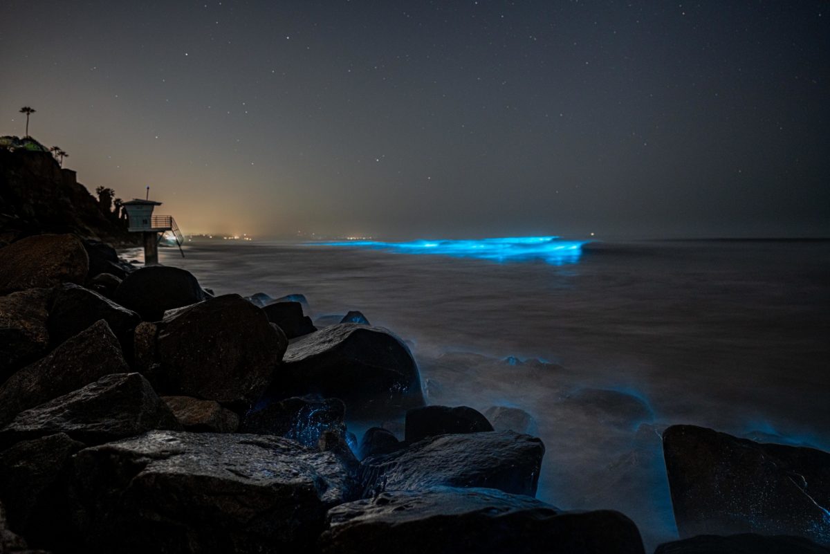 Bioluminescent Red Tide