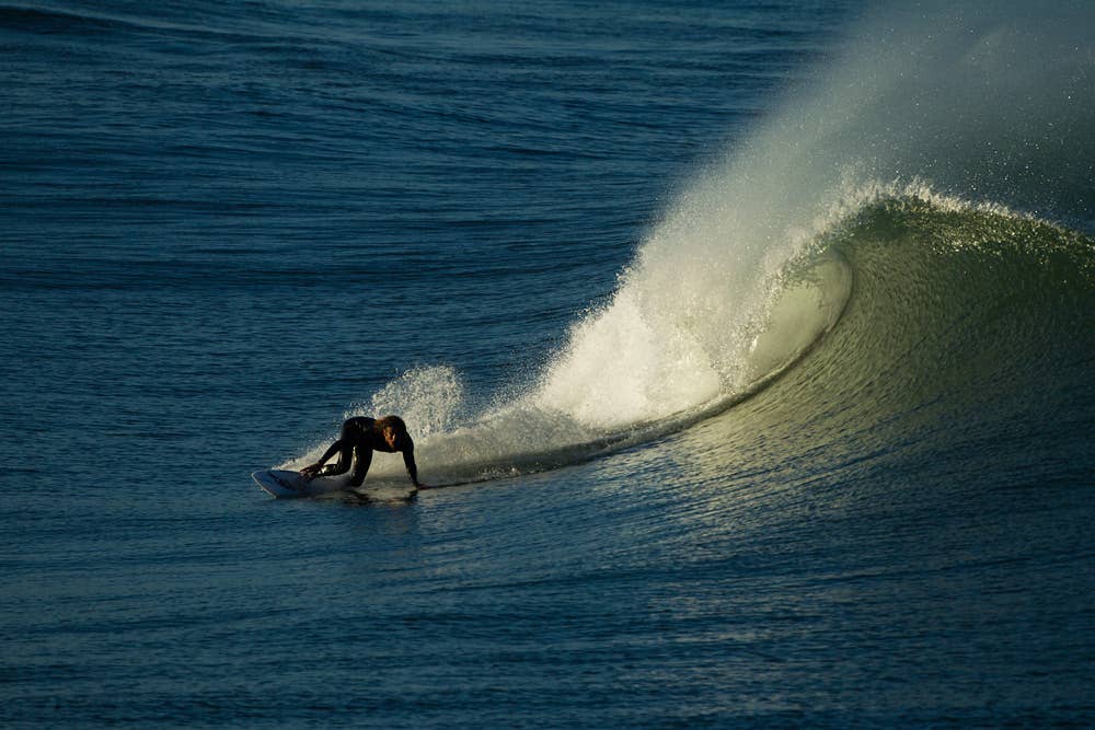 Almost Summer - Surfer