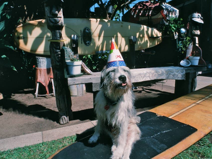 Remembering Max - Surfer