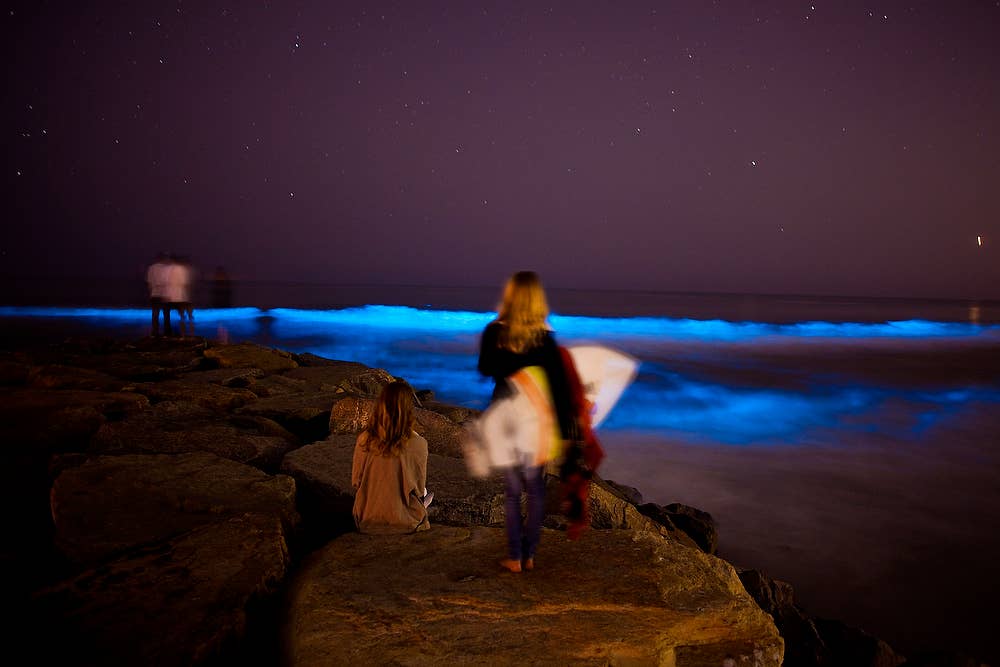 Red Tide At Night