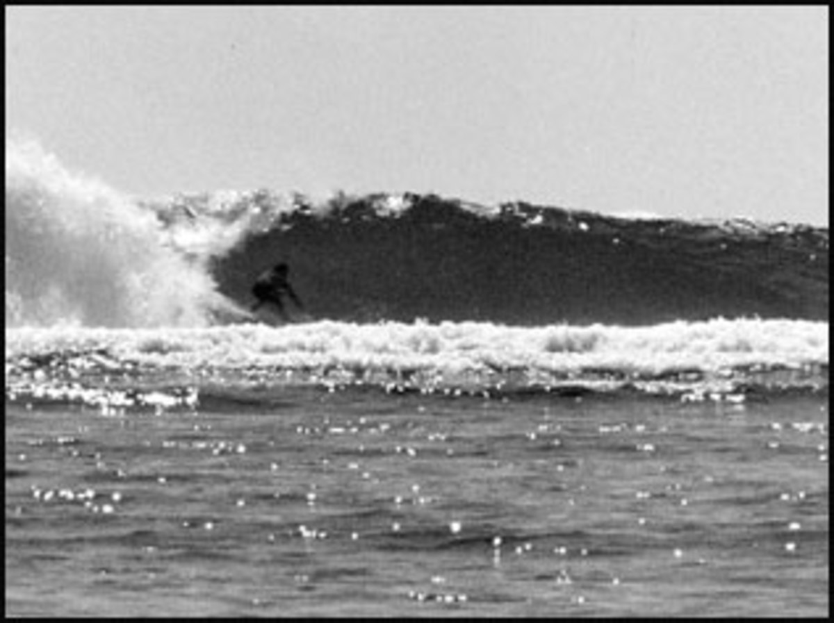 SURFER Interview: Stacy Peralta - Surfer