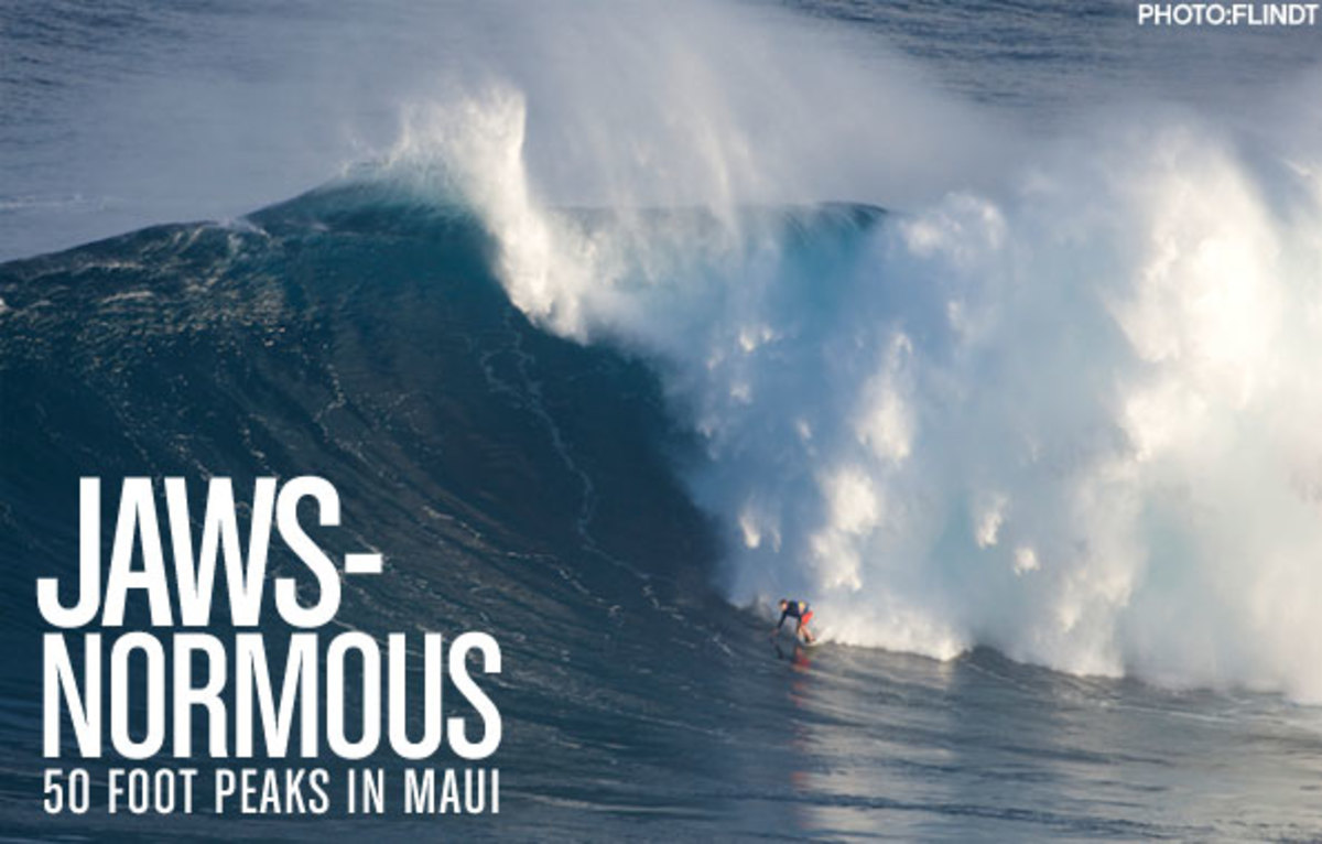 Jaws-Normous - Surfer