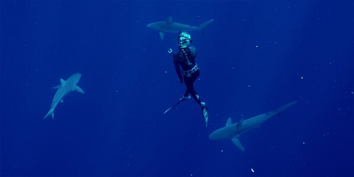 'She is the Ocean' Profiles 9 Women in Surf You Need to Know - Surfer