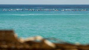 Allan Byrne Paddle Out - Surfer