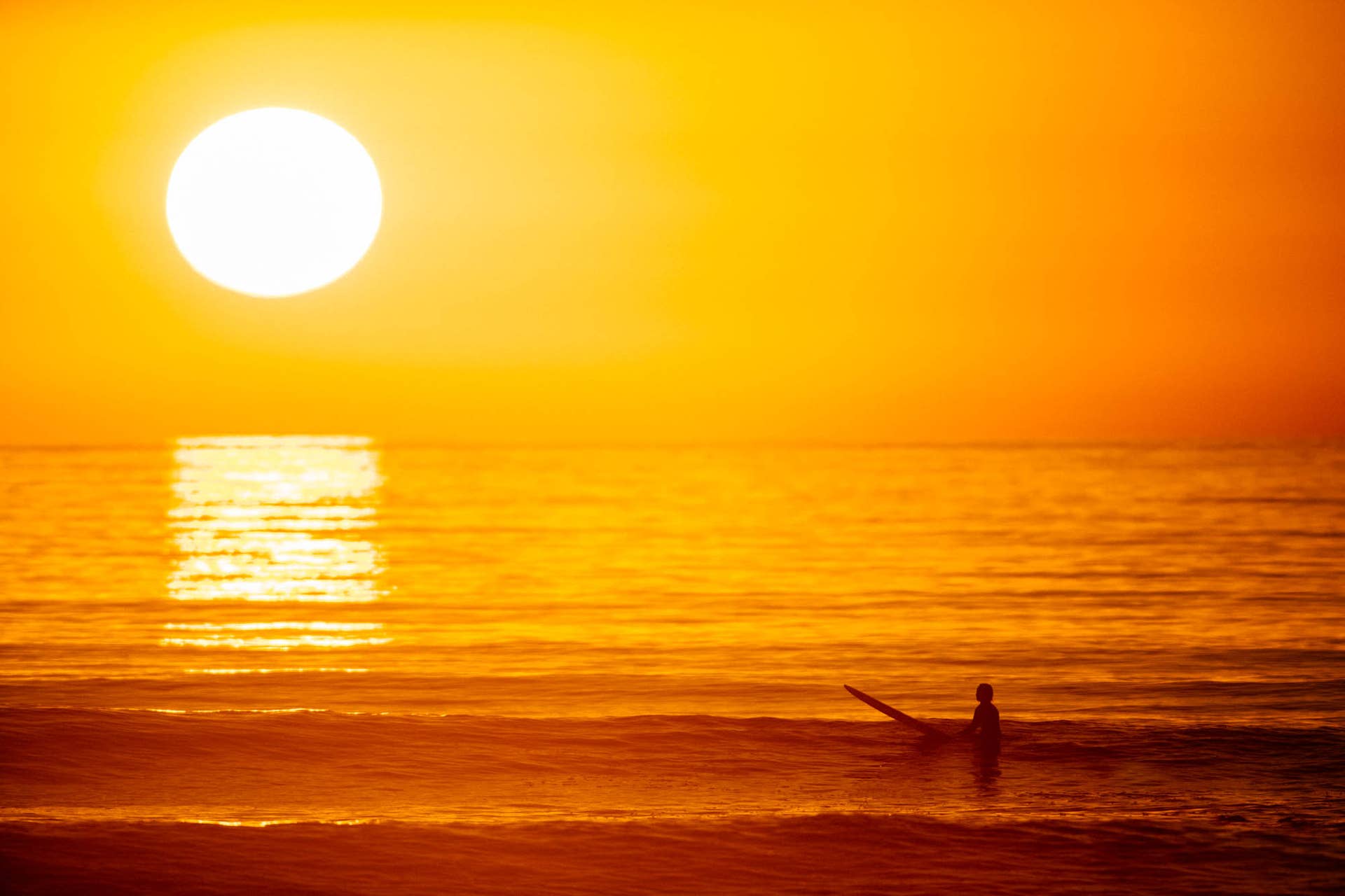 Best Surf Boards and Trunks for Summer | %%sitename%% - Surfer