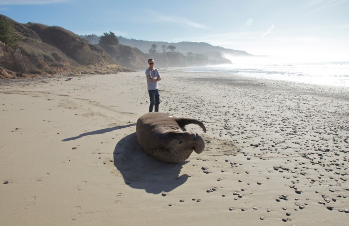 The Real Chas Smith - Surfer