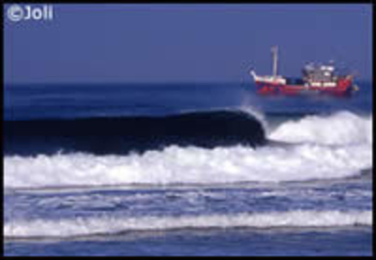 The Surfer Interview: Martin Daly - Surfer