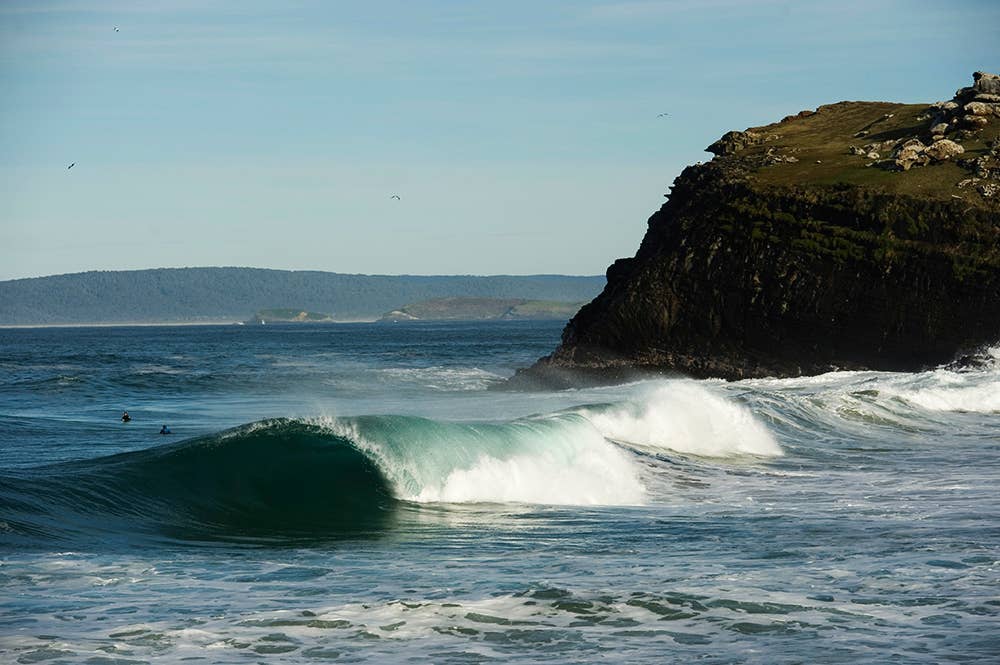 New Zealand | SURFER Magazine - Surfer