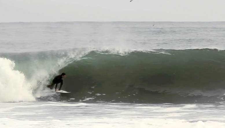 Going South for the Winter - Surfer