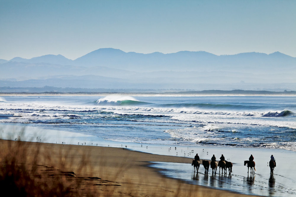 California: Lightbox - Surfer