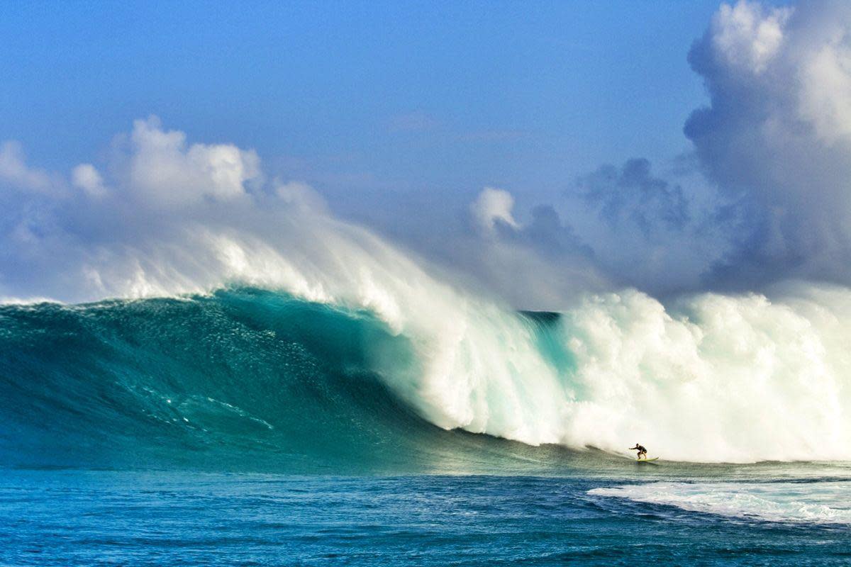 Zak Noyle | Dave Wassel, Jaws - Surfer