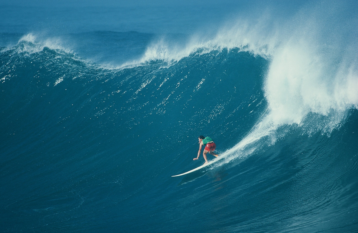 The Mark of a King - Surfer