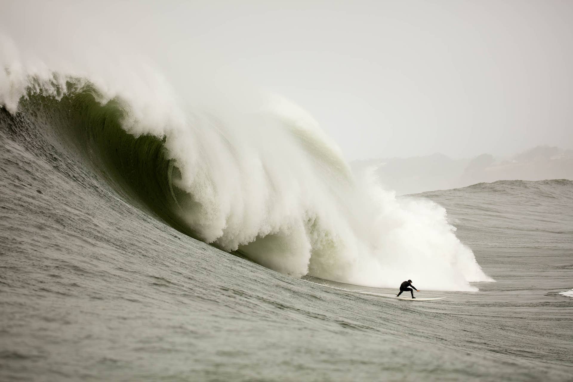 A Maverick’s Feast - Surfer