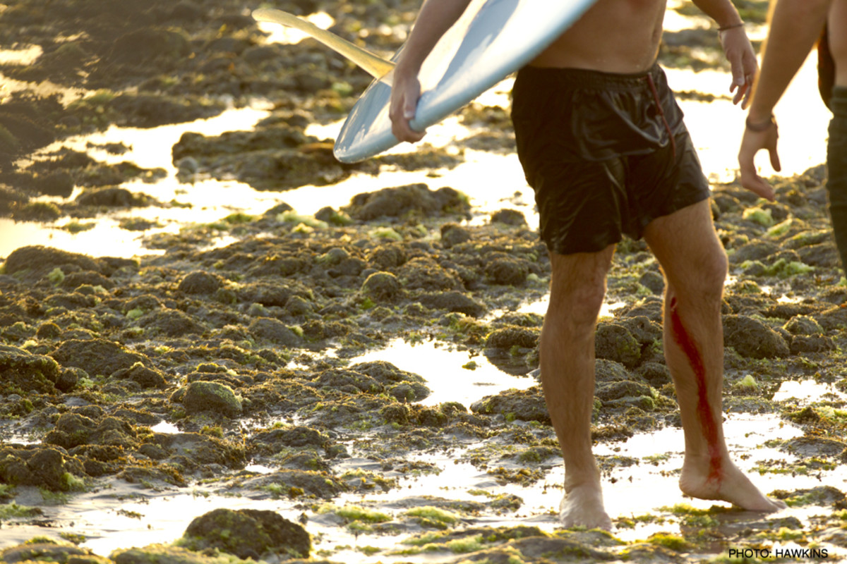 You Are Here: Ellis Ericson - Surfer