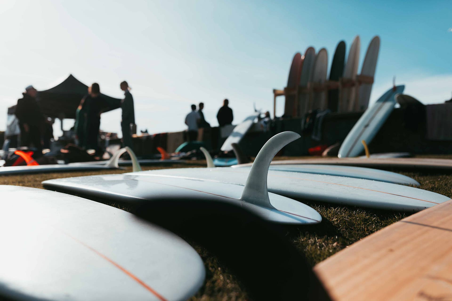 Single Fin Mingle 2020: A Bright Spot During Dark Times | %%sitename ...