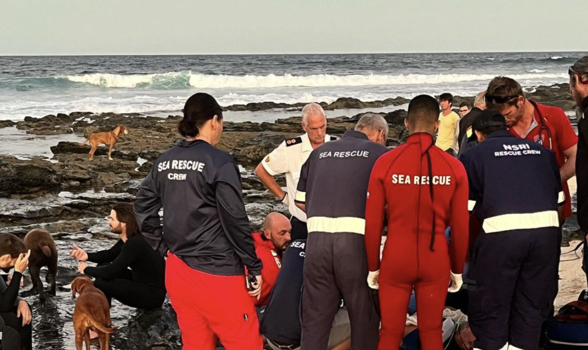 Surfer Survives Shark Attack at Jeffreys Bay - Surfer
