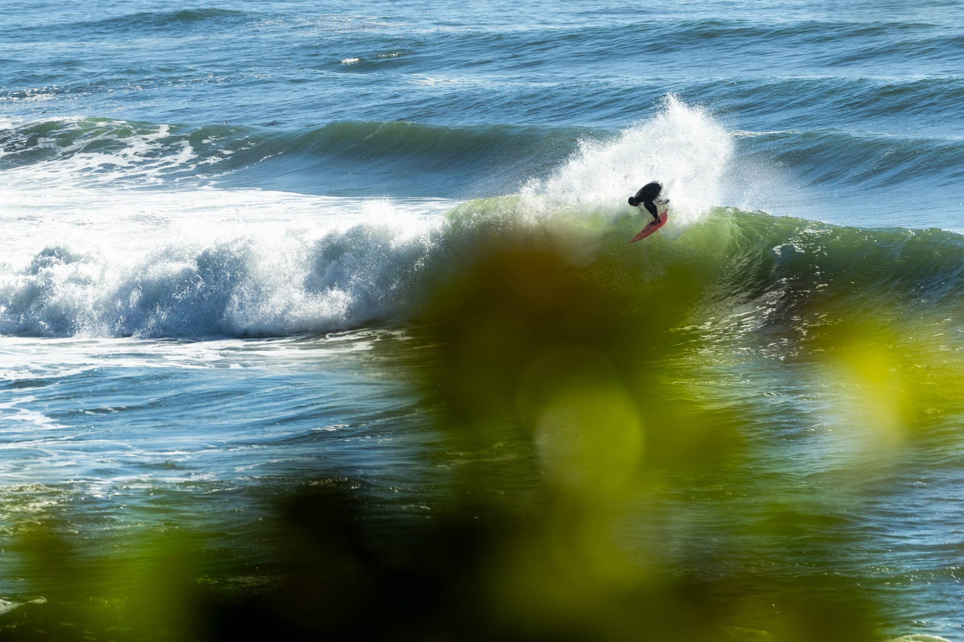 Photos: Coldwater Imagery That’ll Make You Want to Dust Off Your ...