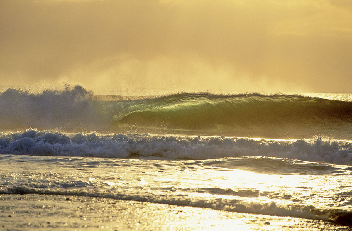 G-Land: Where the Ancient Forest Emerged from the Sea - Surfer