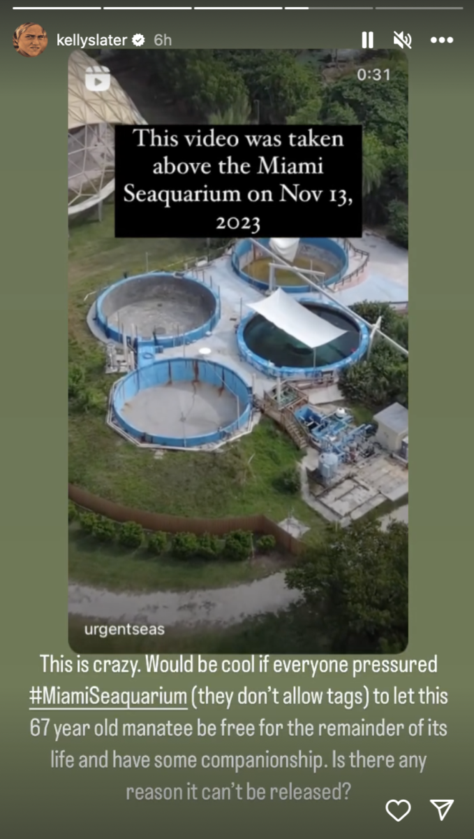 Surfing Great Kelly Slater Makes Plea to Help Isolated Manatee at ...