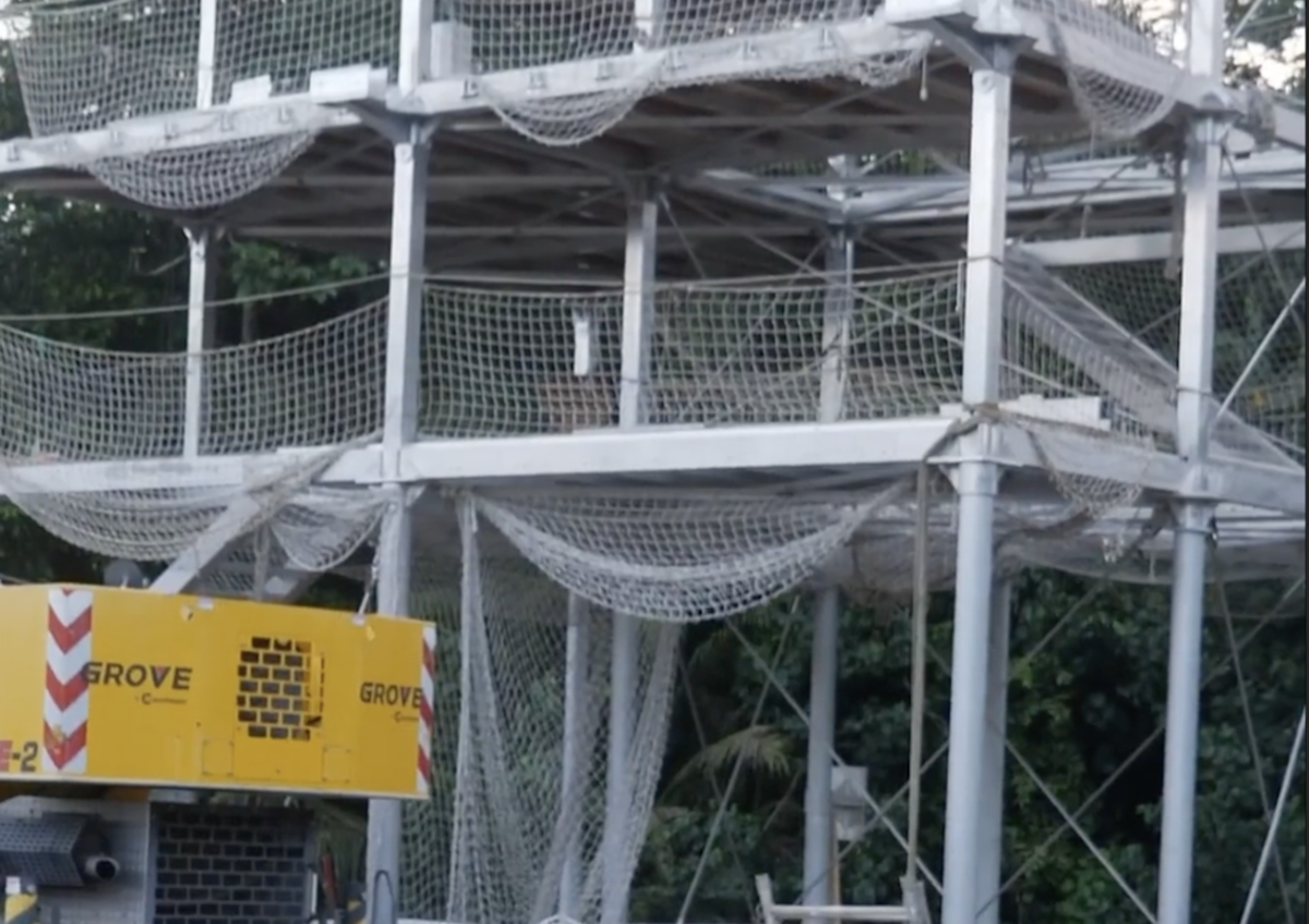 Koby Abberton Sparks Heated Convo About Paris 2024 and Ropes Kelly ...