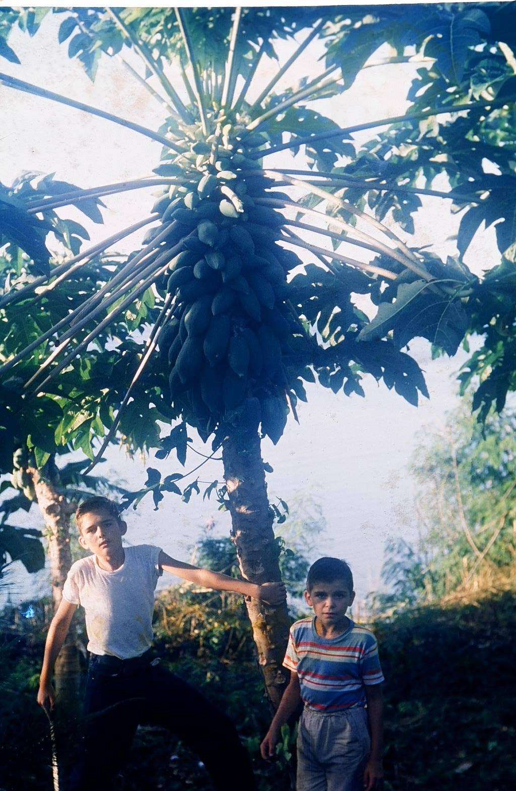 Life on a Tiny Marianas Atoll with the Best Fresh Fish on Earth - Surfer