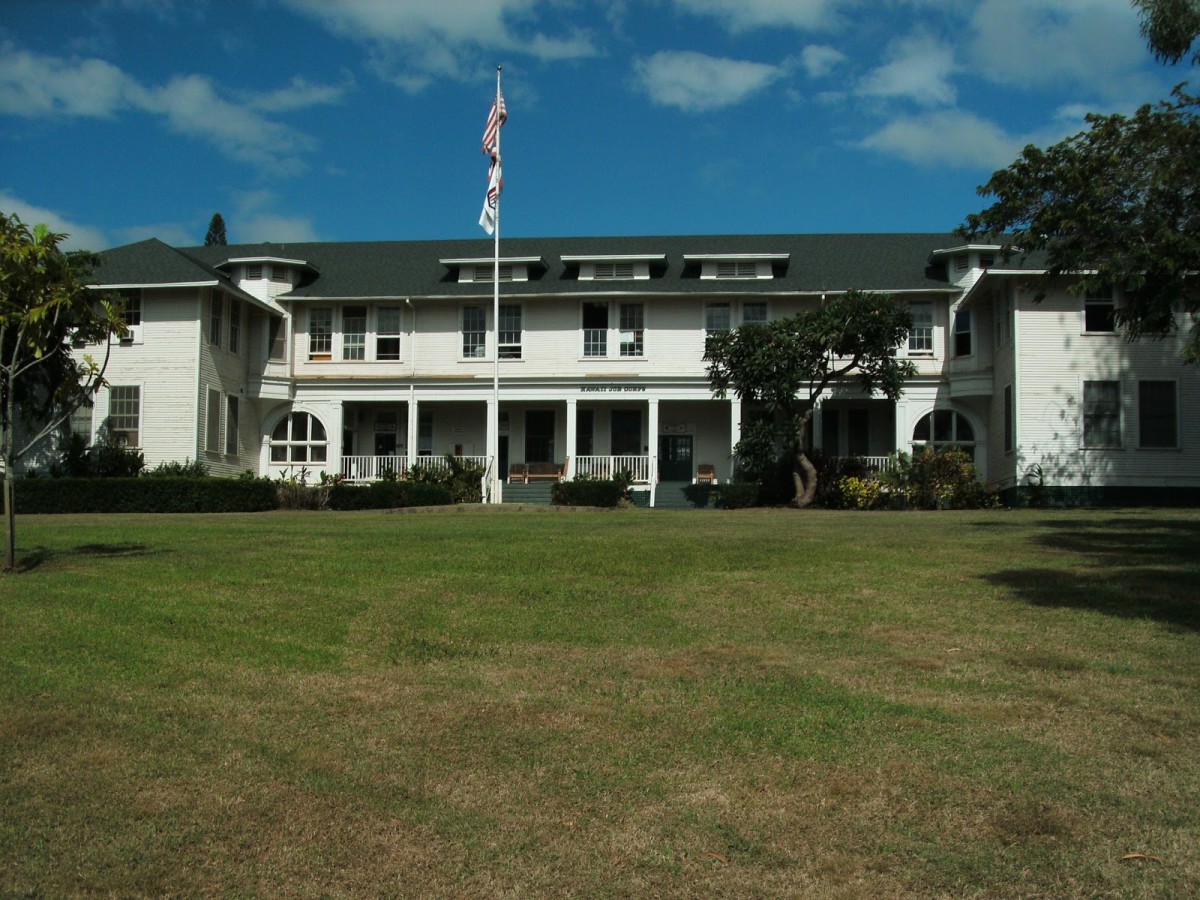 Mama's Macadamia Nut Mahi Mahi - Surfer