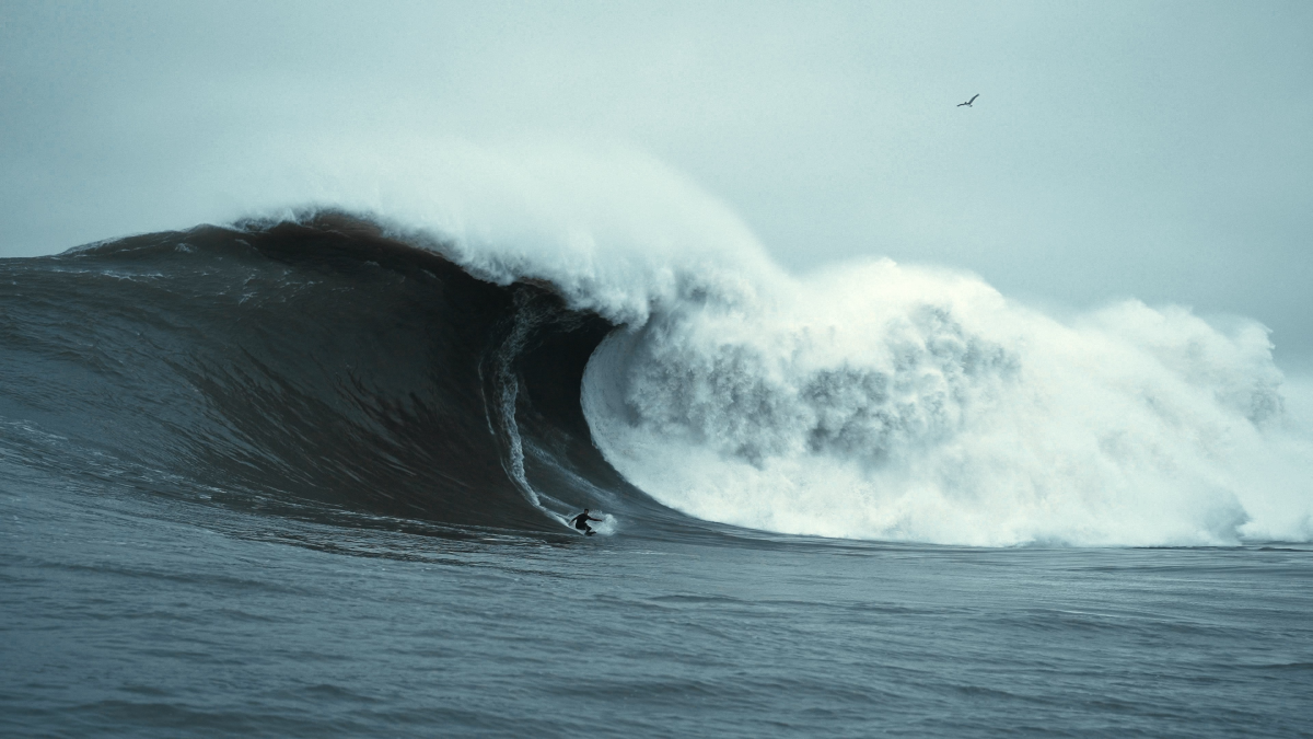 Watch: Meet Maverick’s Newest Local Heroes - Surfer Culture