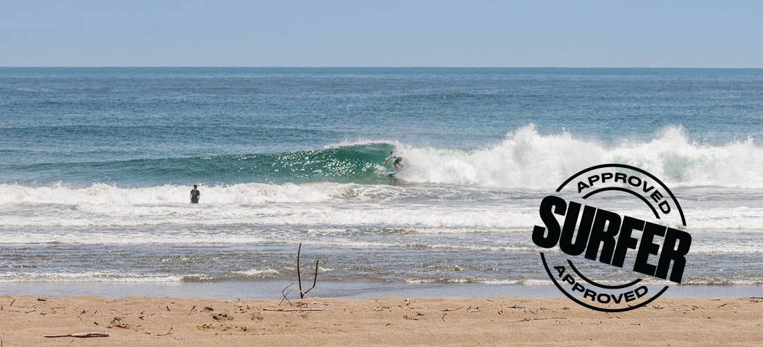 Getting The Gang Back Together - Surfer