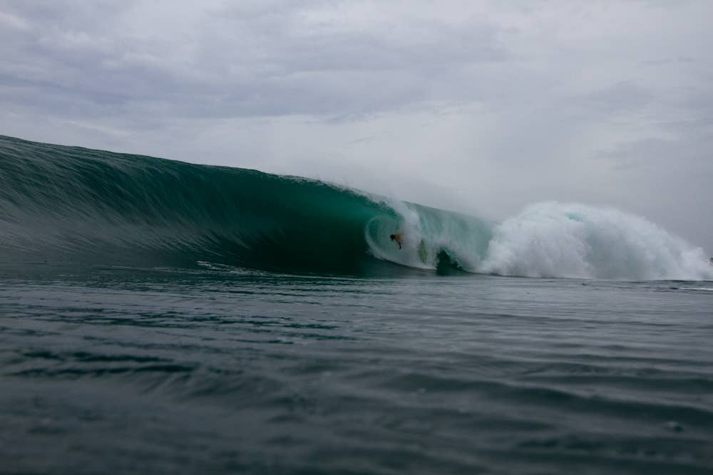 You Are Here: Mikala Jones, Survivor - Surfer