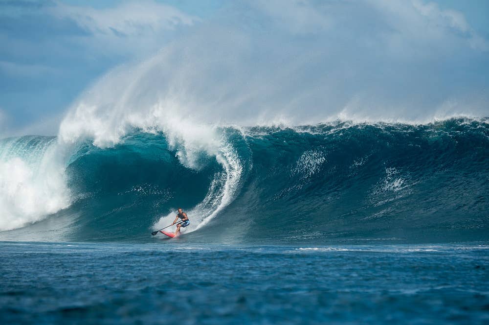 Eat Like Laird - Surfer