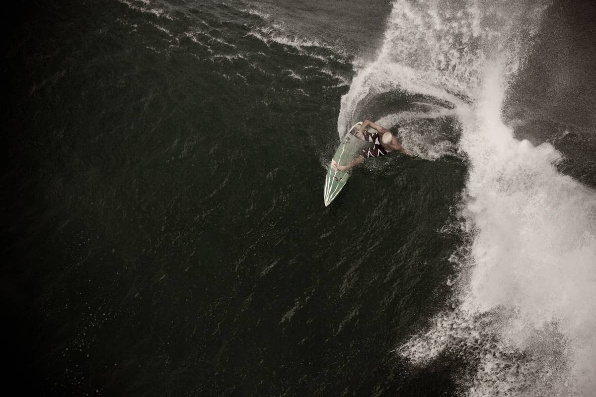 Birds and Bulls and JOB - Surfer