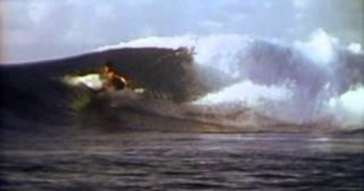 In Memory of Buttons - Surfer