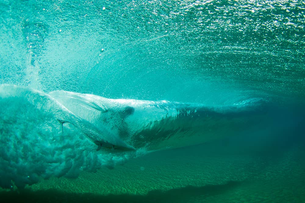 Michael Dunphy, Brazil - Surfer