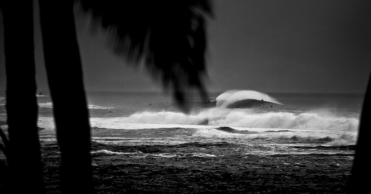Bryce Lowe-White | Pipeline, Hawaii - Surfer