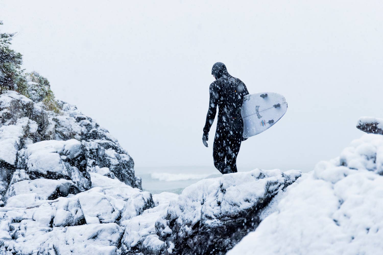 Surfing Where Bears Are a Bigger Threat than Sharks (Video) - Surfer