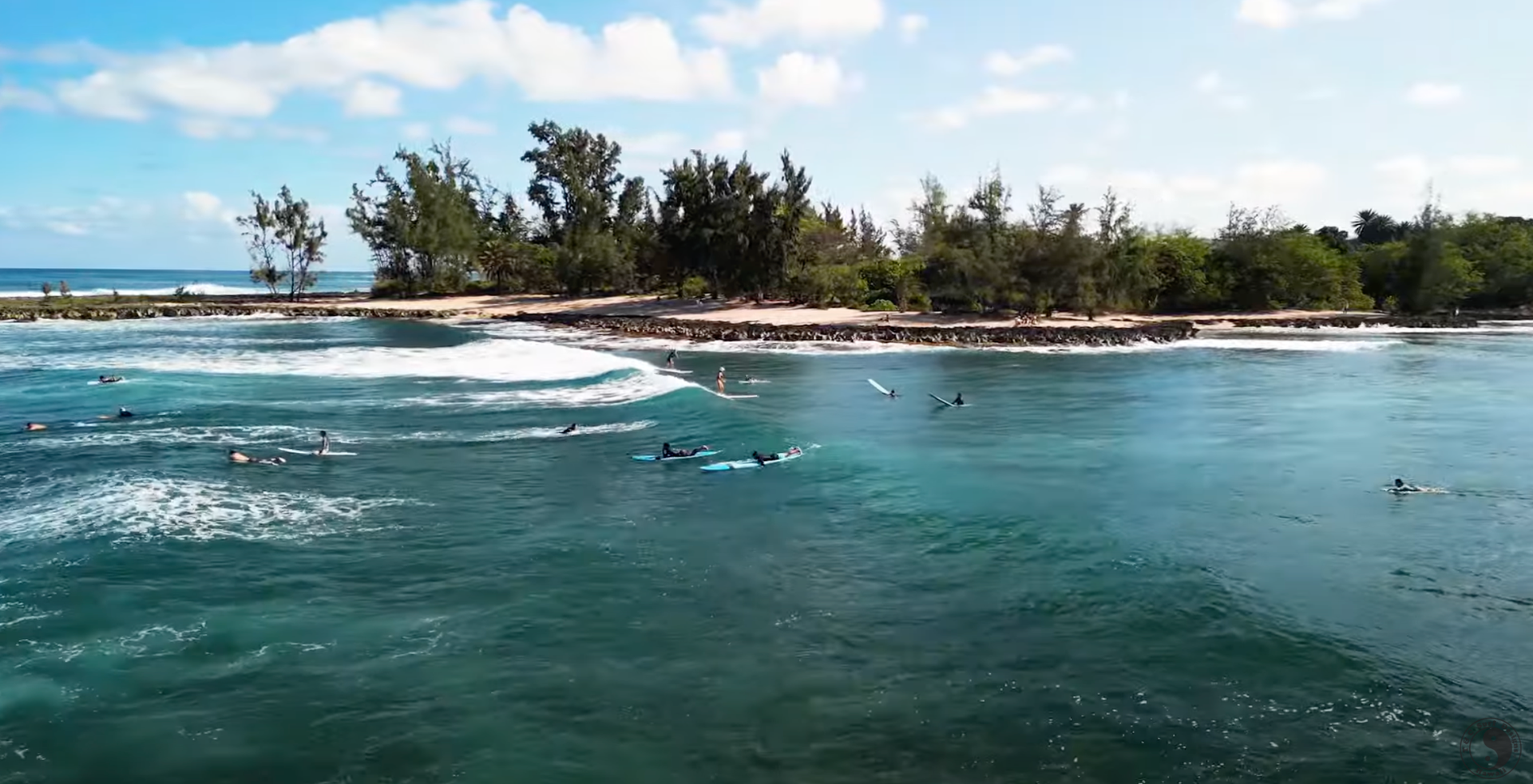 Video: The 4 Best Beginner Surf Spots on Oahu According to T&C Surf ...