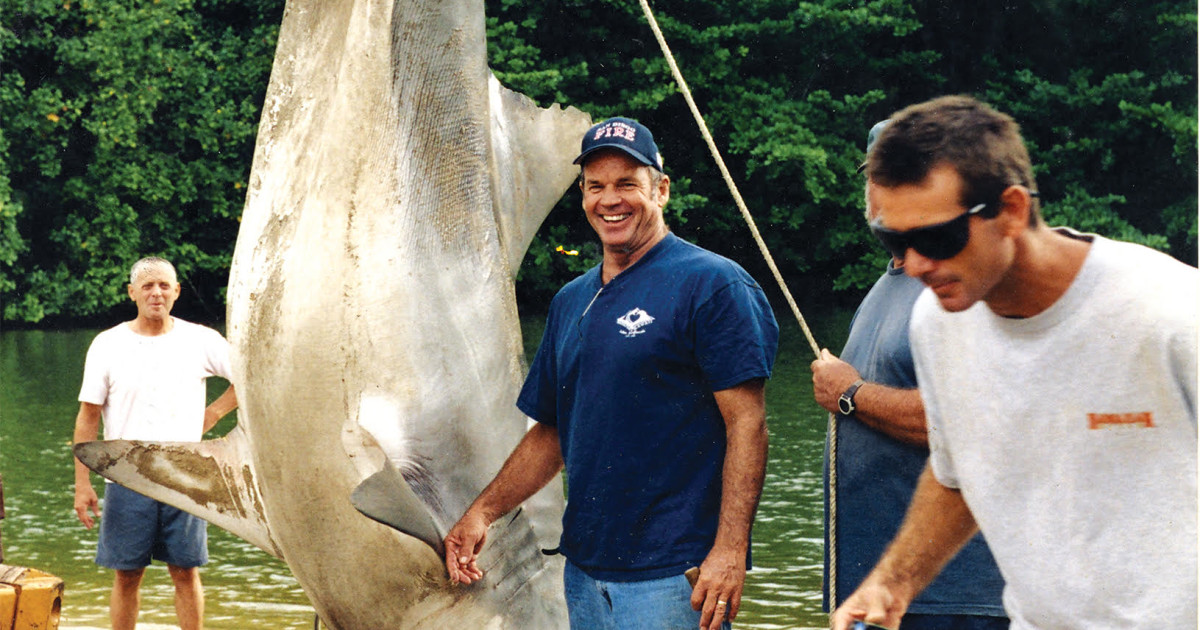 Wave Pools, Sharks and More Revealing Surf Quotes From July - Surfer