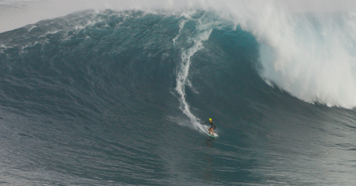 Marine Scientist and Substitute Katie MConnell Teacher Takes on Jaws ...