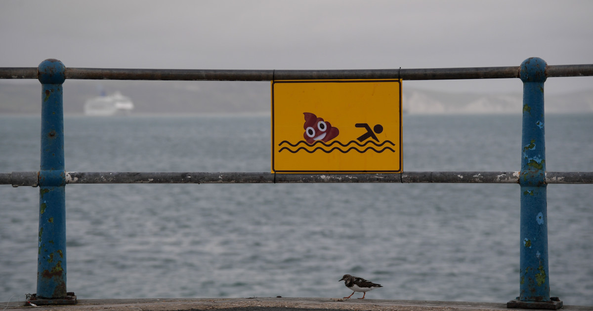 Poop Is Good for the Ocean, Scientists Say - Surfer