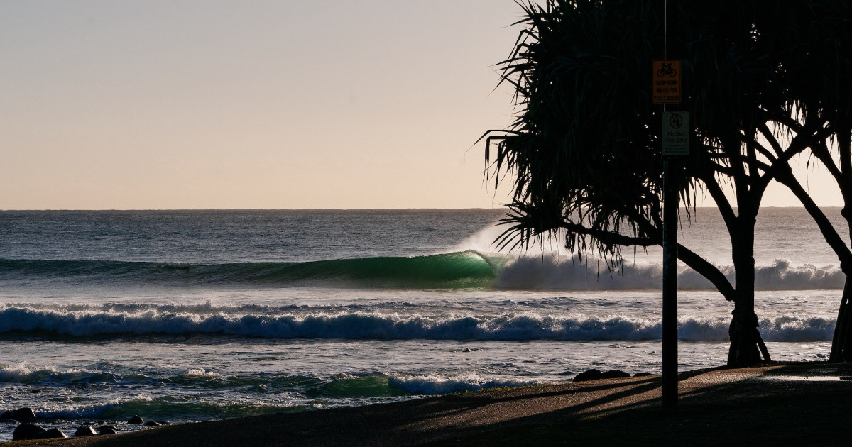Fantasy Surfer: The Championship Tour Returns to the Goldie - Surfer
