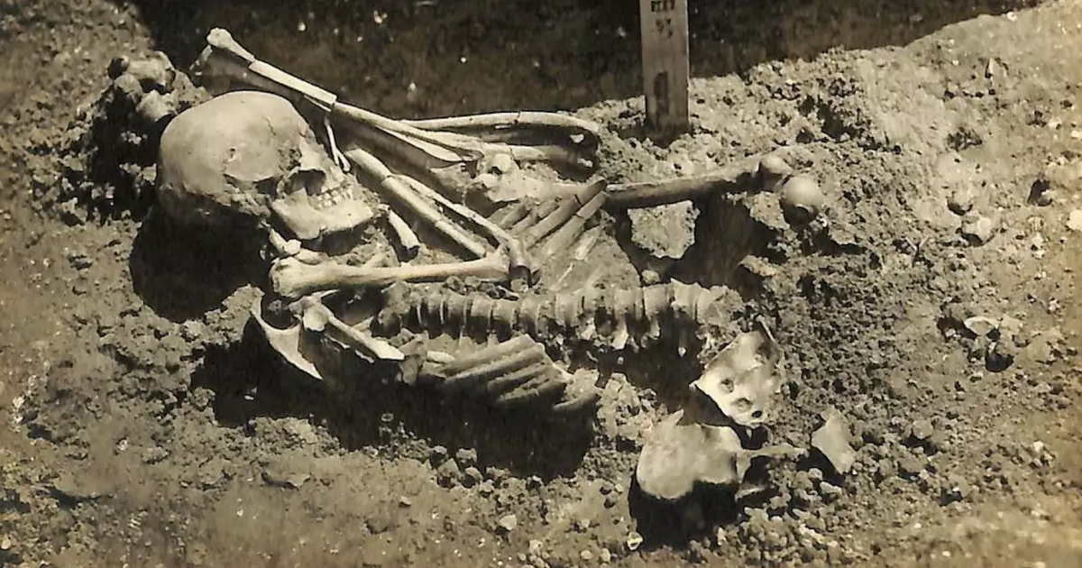 Human Bones Reveal Oldest Shark Attack in History - Surfer
